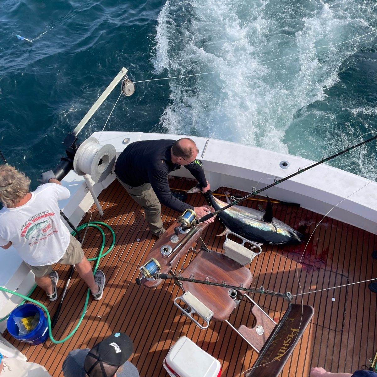 Tuna Fishing in the Outerbanks Update - Outer Banks Fishing Charters